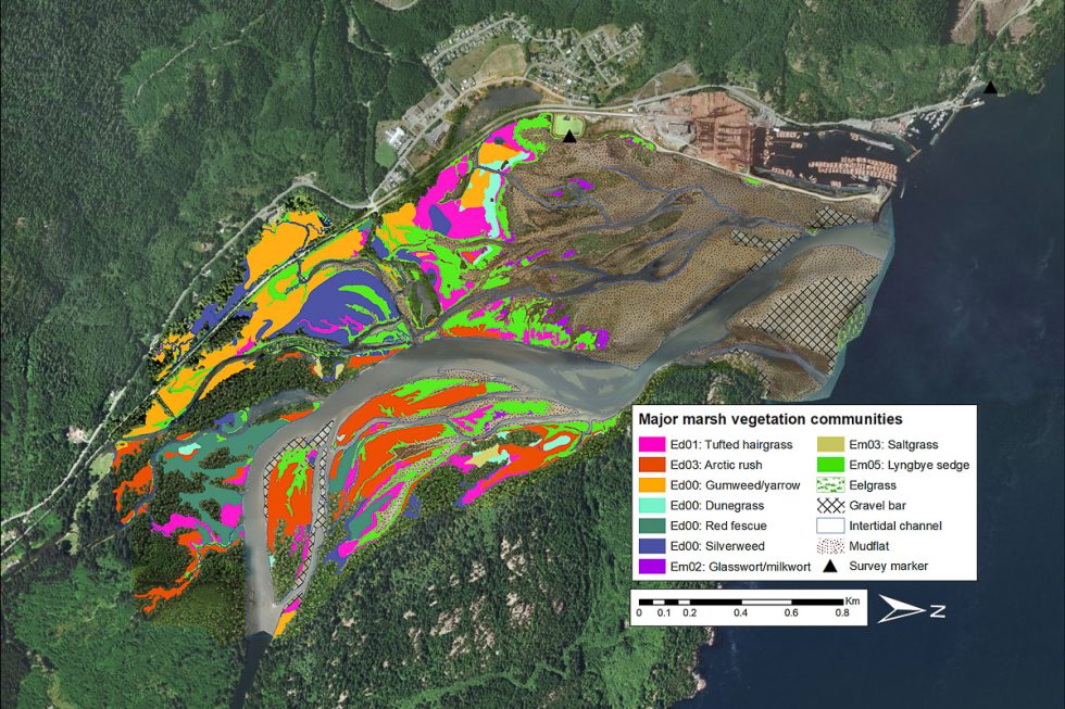 Marine Habitat Assessment and Mapping – M.C. Wright & Associates Ltd.