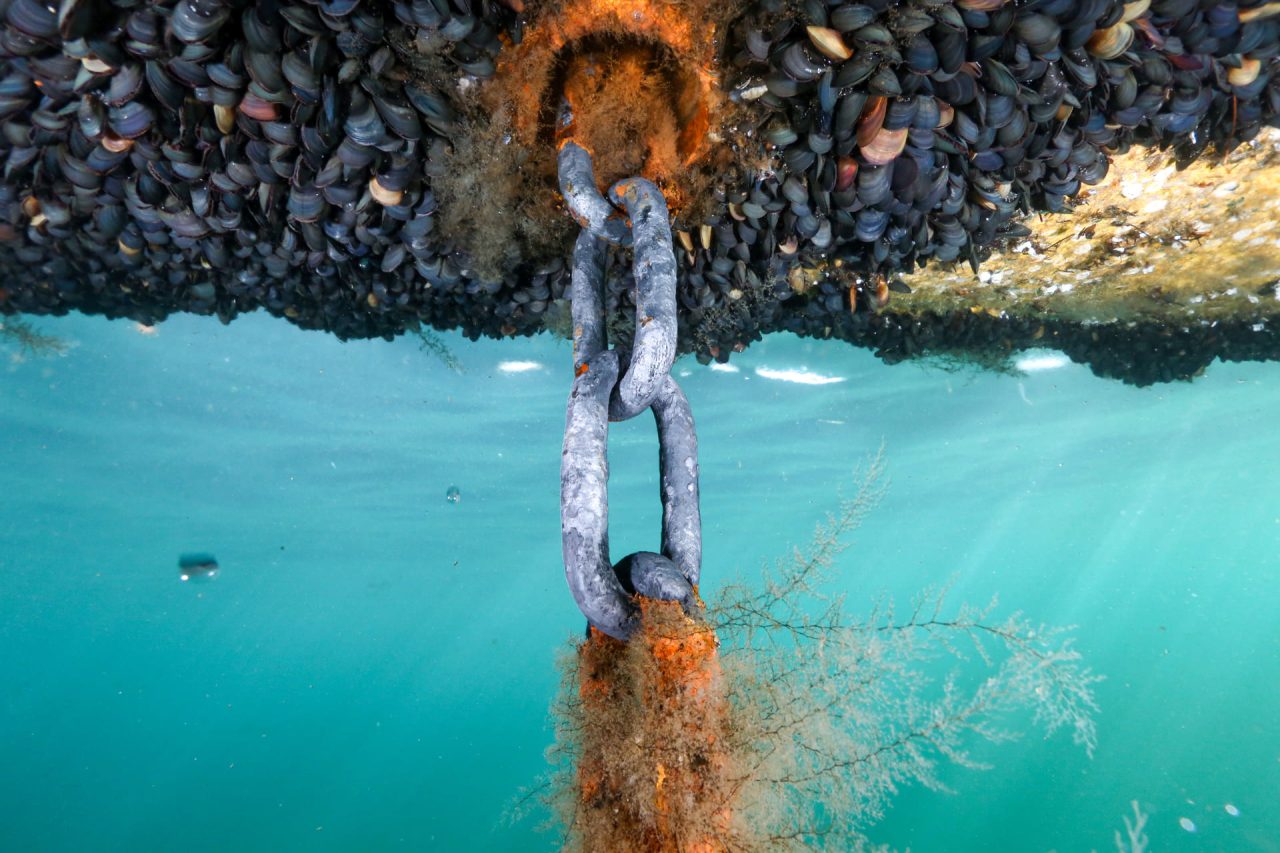 Underwater Inspection and ROV – M.C. Wright & Associates Ltd.